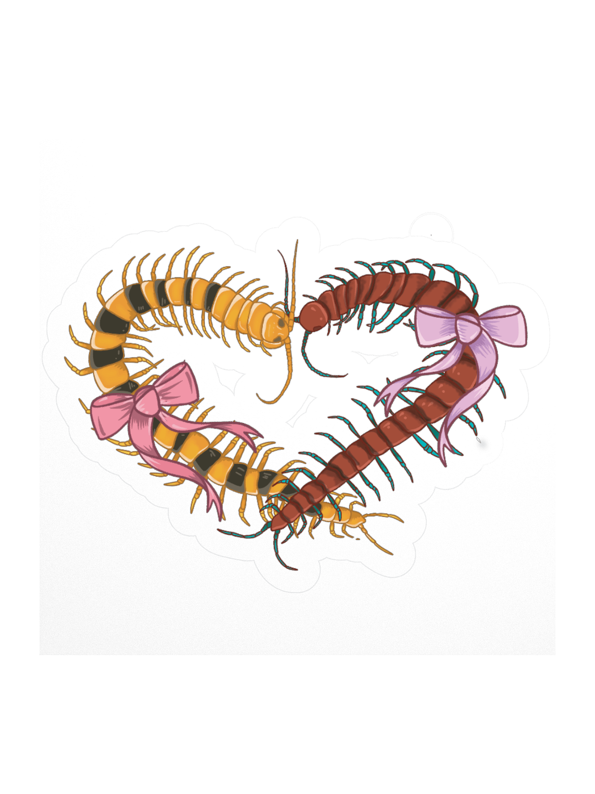 All Products | tarantulakat