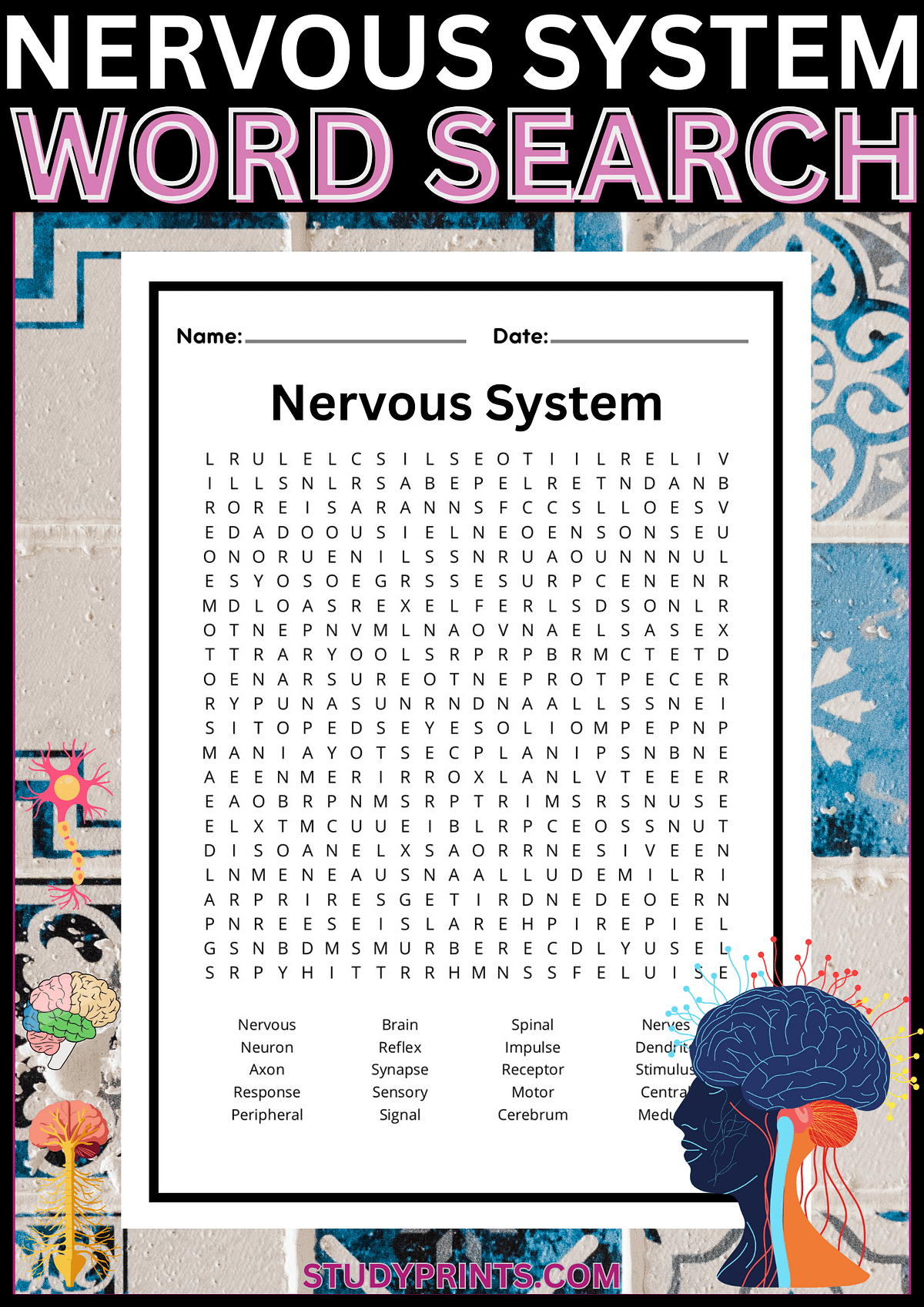 Nervous System Word Search Puzzle Printable | Study Prints