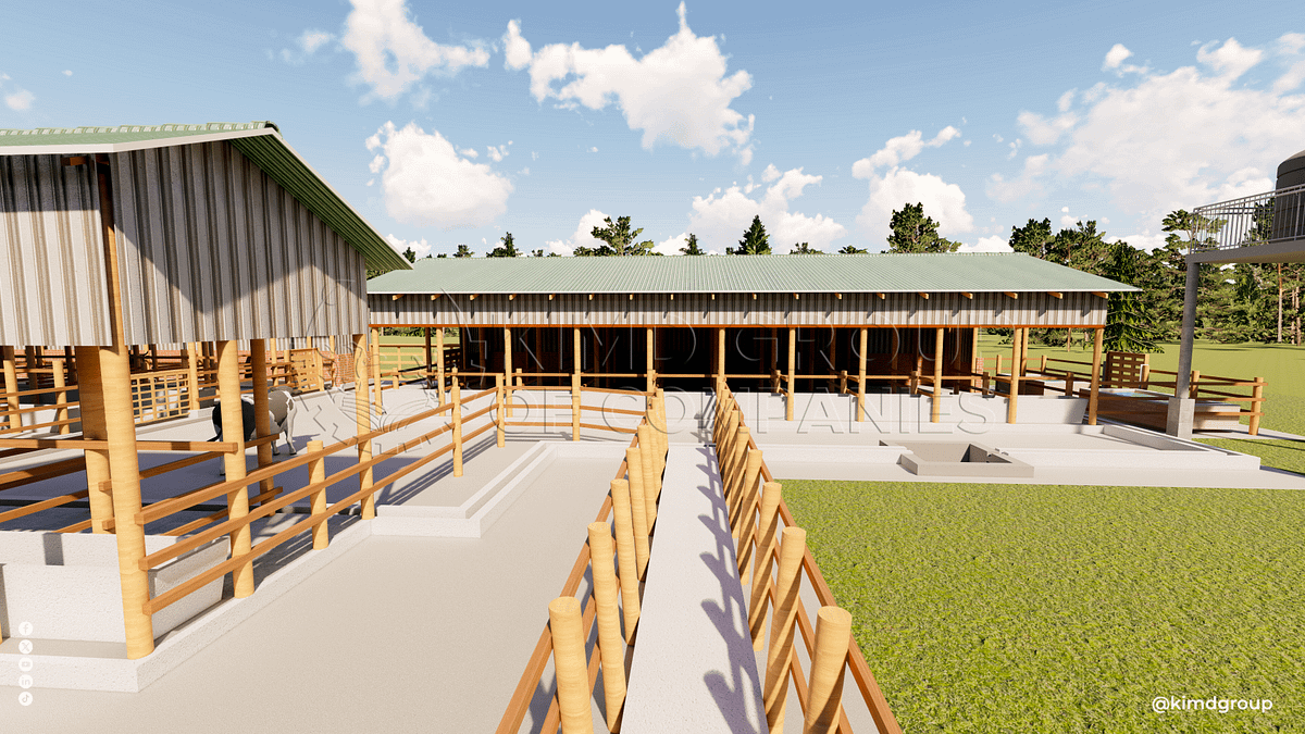 40 Dairy Cow Design Plan | Kimd Group